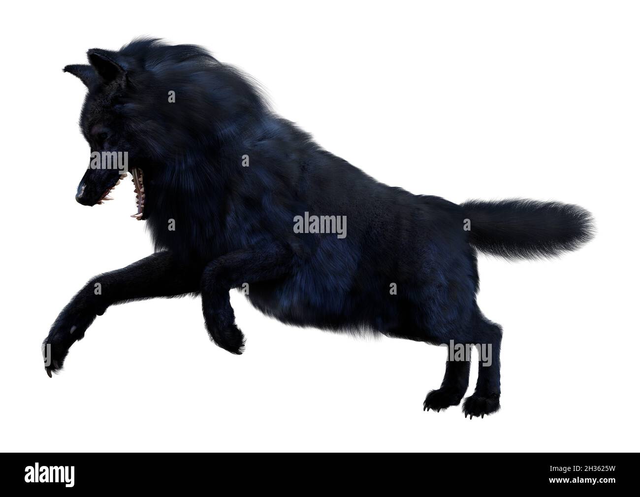 3D rendering of a black wolf isolated on white background Stock Photo ...