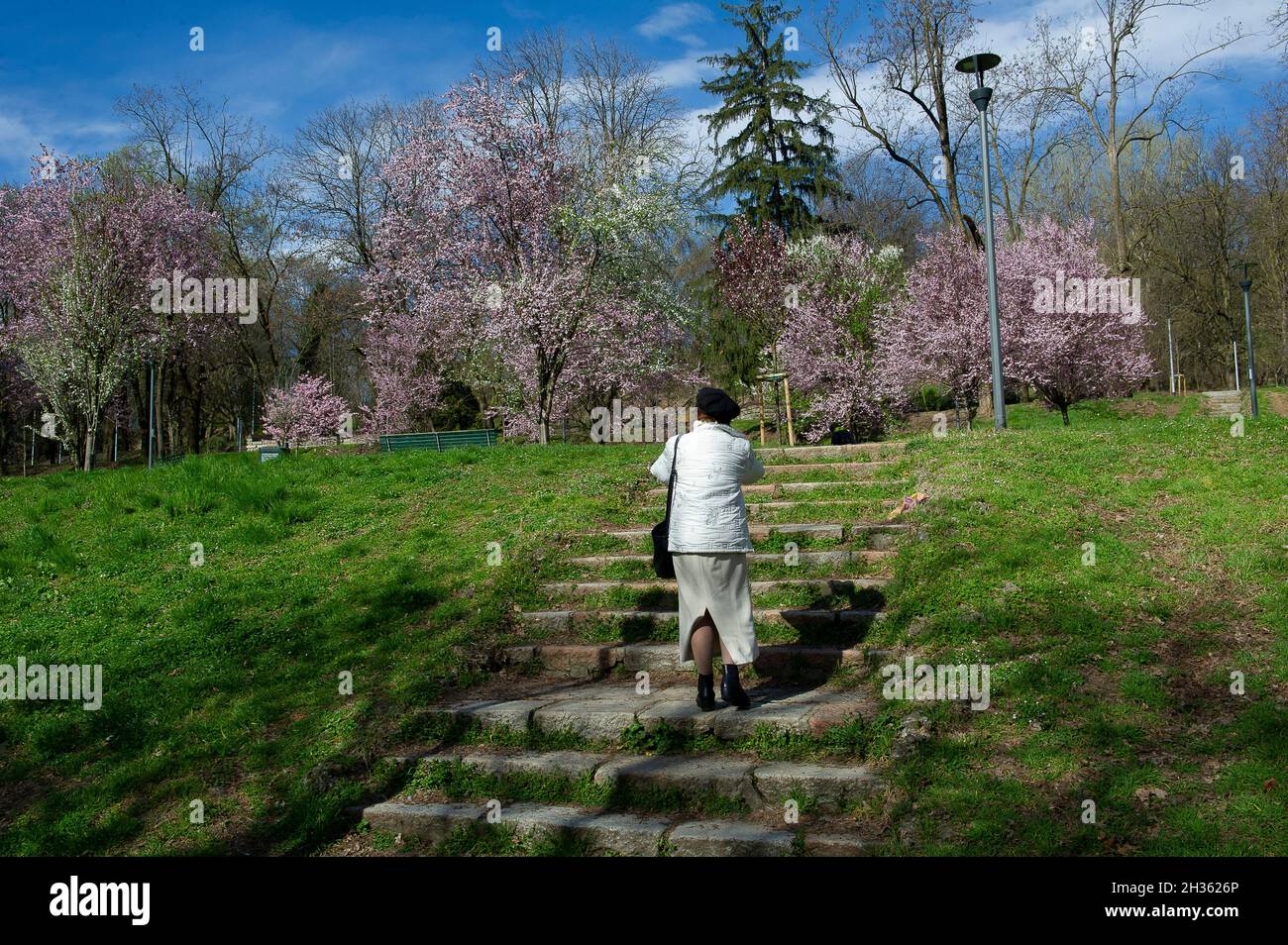 Monte stella milano hi-res stock photography and images - Alamy