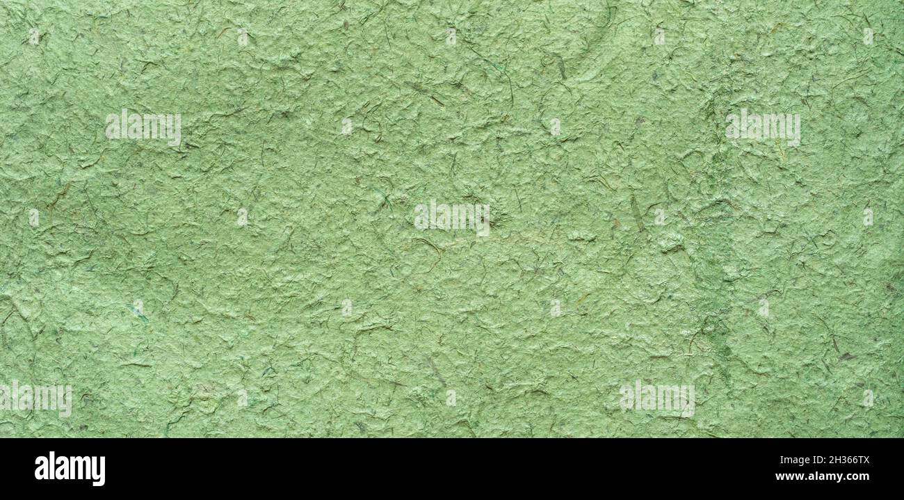 Green parchment paper texture hi-res stock photography and images - Alamy
