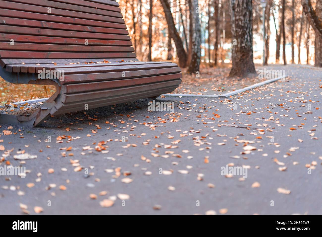 Empty bench sunlight hi-res stock photography and images - Alamy