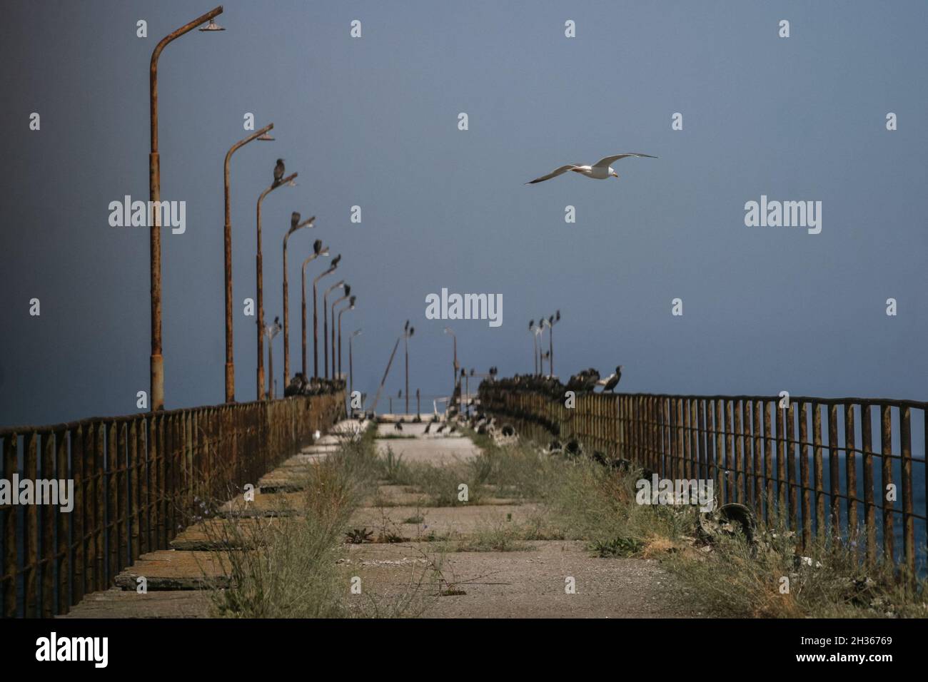 June 26 2009 hi-res stock photography and images - Alamy
