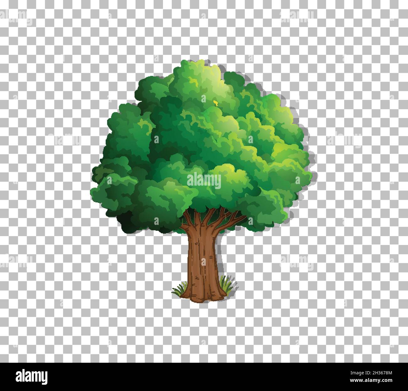 Tree on transparent background illustration Stock Vector Image & Art ...