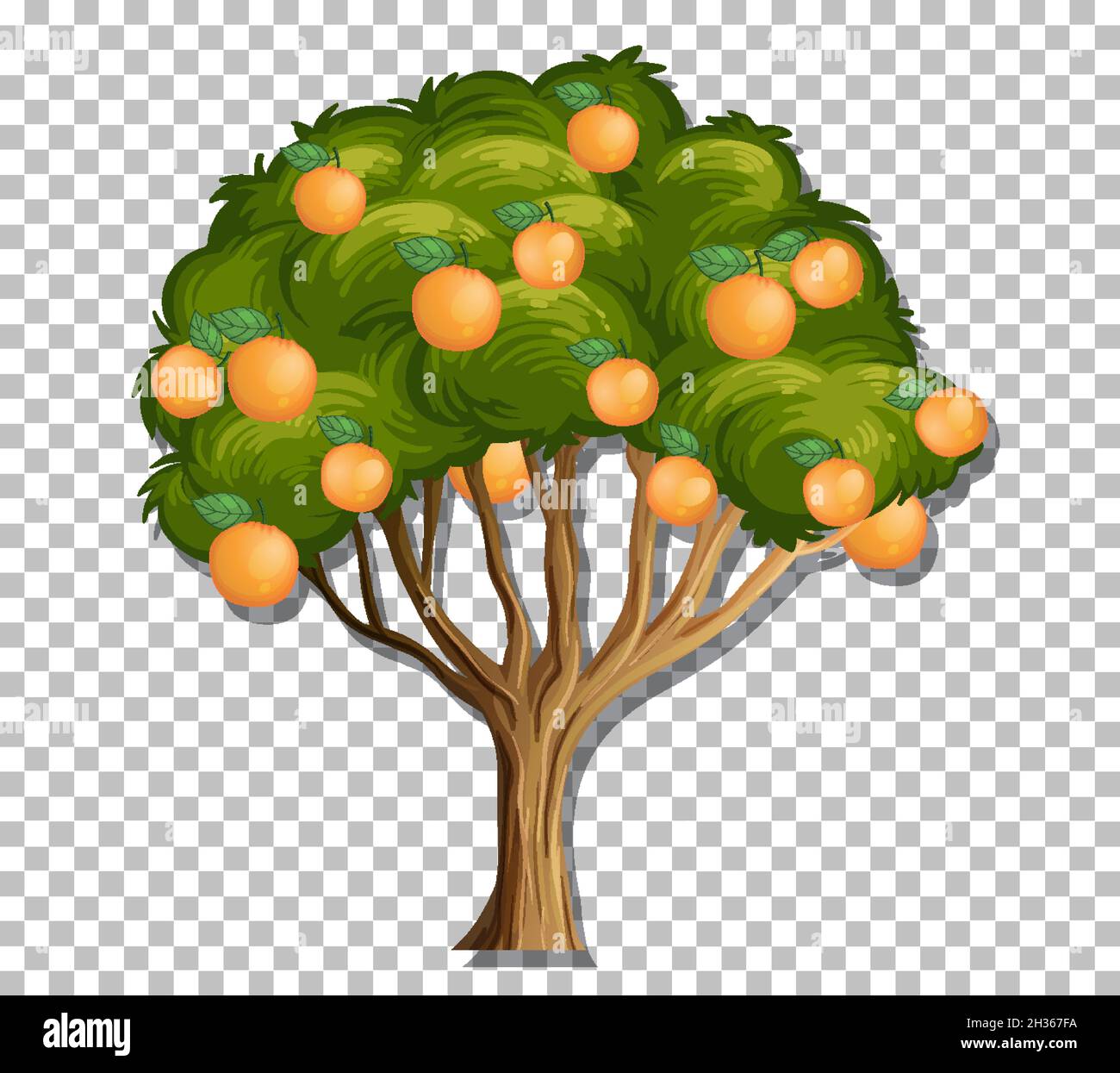 Orange tree on transparent background illustration Stock Vector Image ...