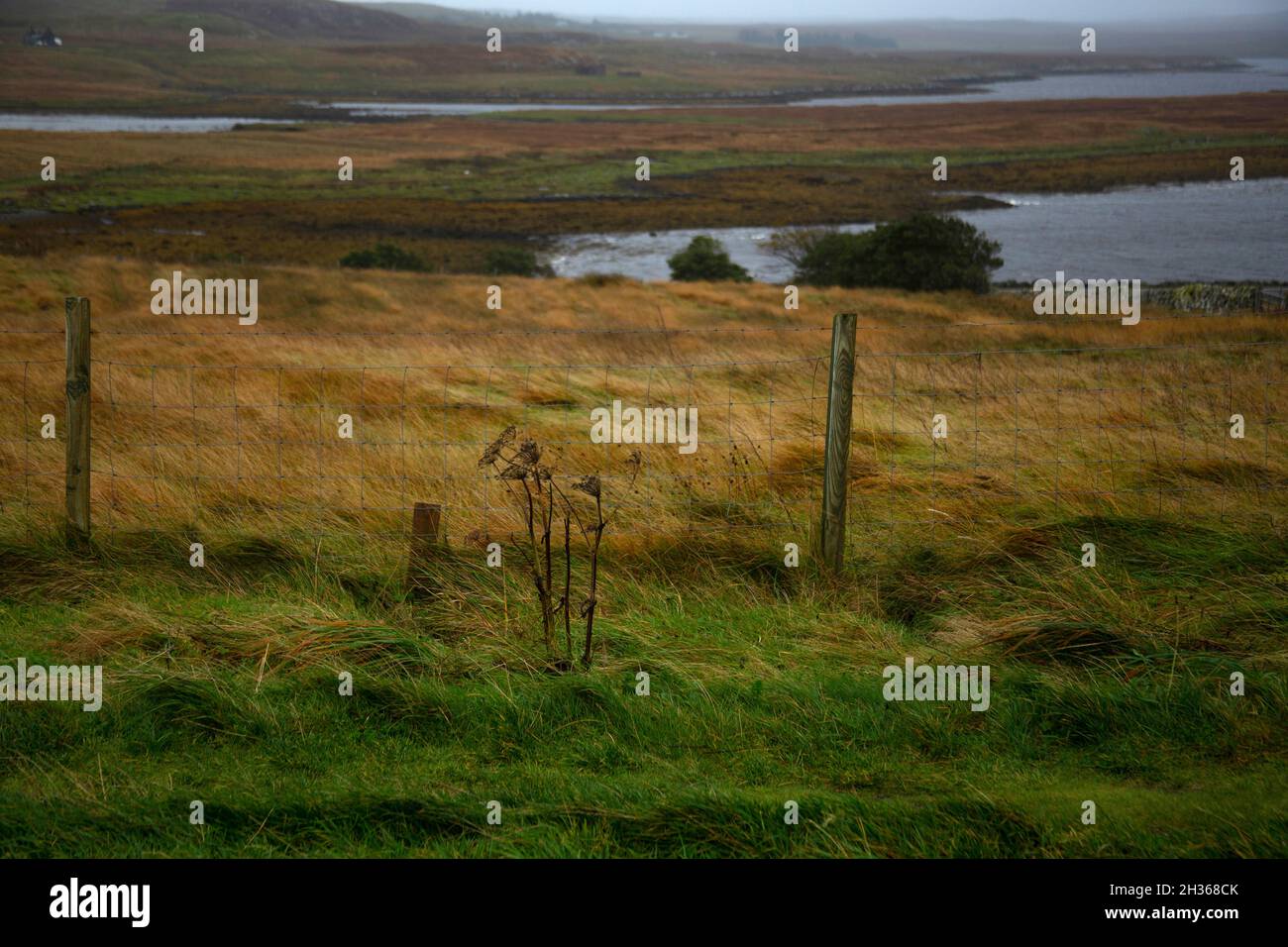 The Hebridean landscape near Callanish, Isle of Lewis Outer Hebrides ...