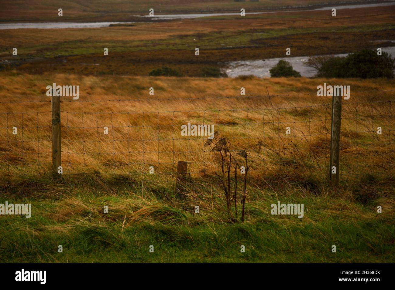 The Hebridean landscape near Callanish, Isle of Lewis Outer Hebrides ...