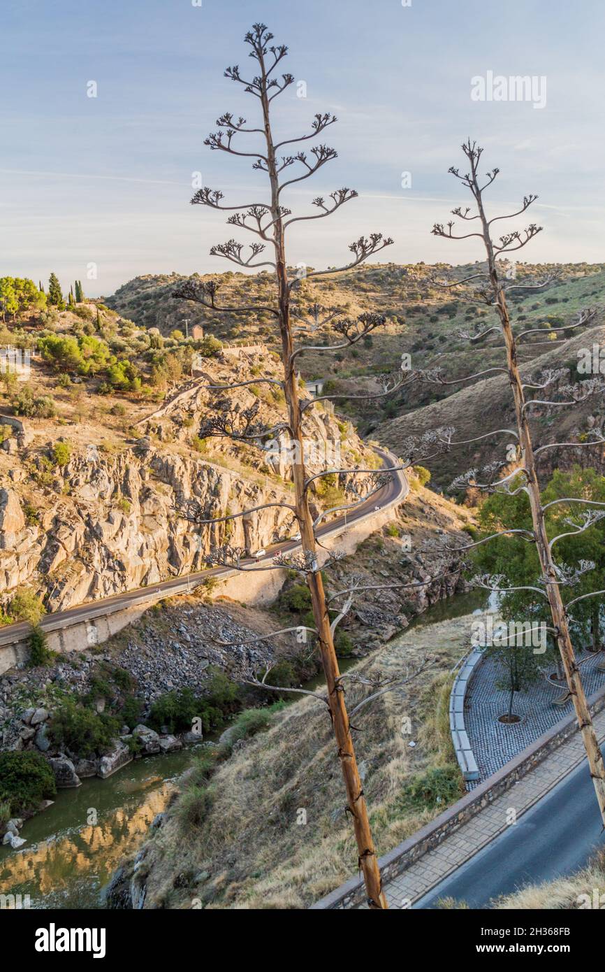 Tagus river valley in Toledo, Spain Stock Photo - Alamy