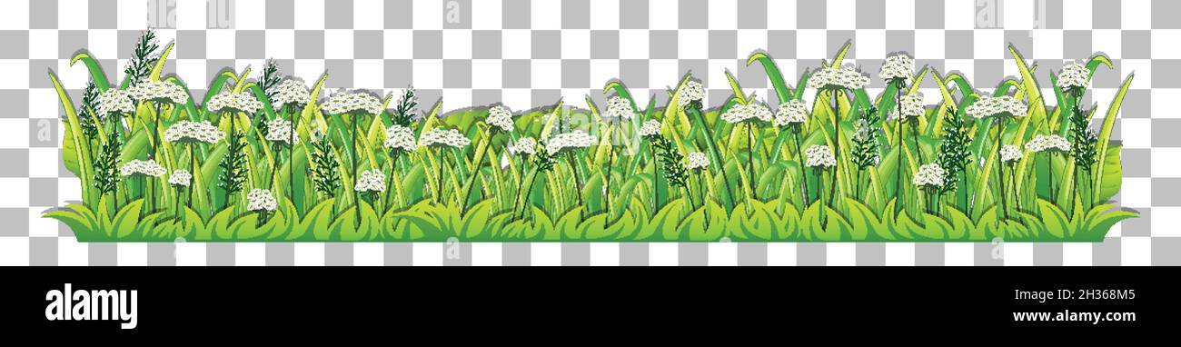 Grass and plants on transparent background for decor illustration Stock ...
