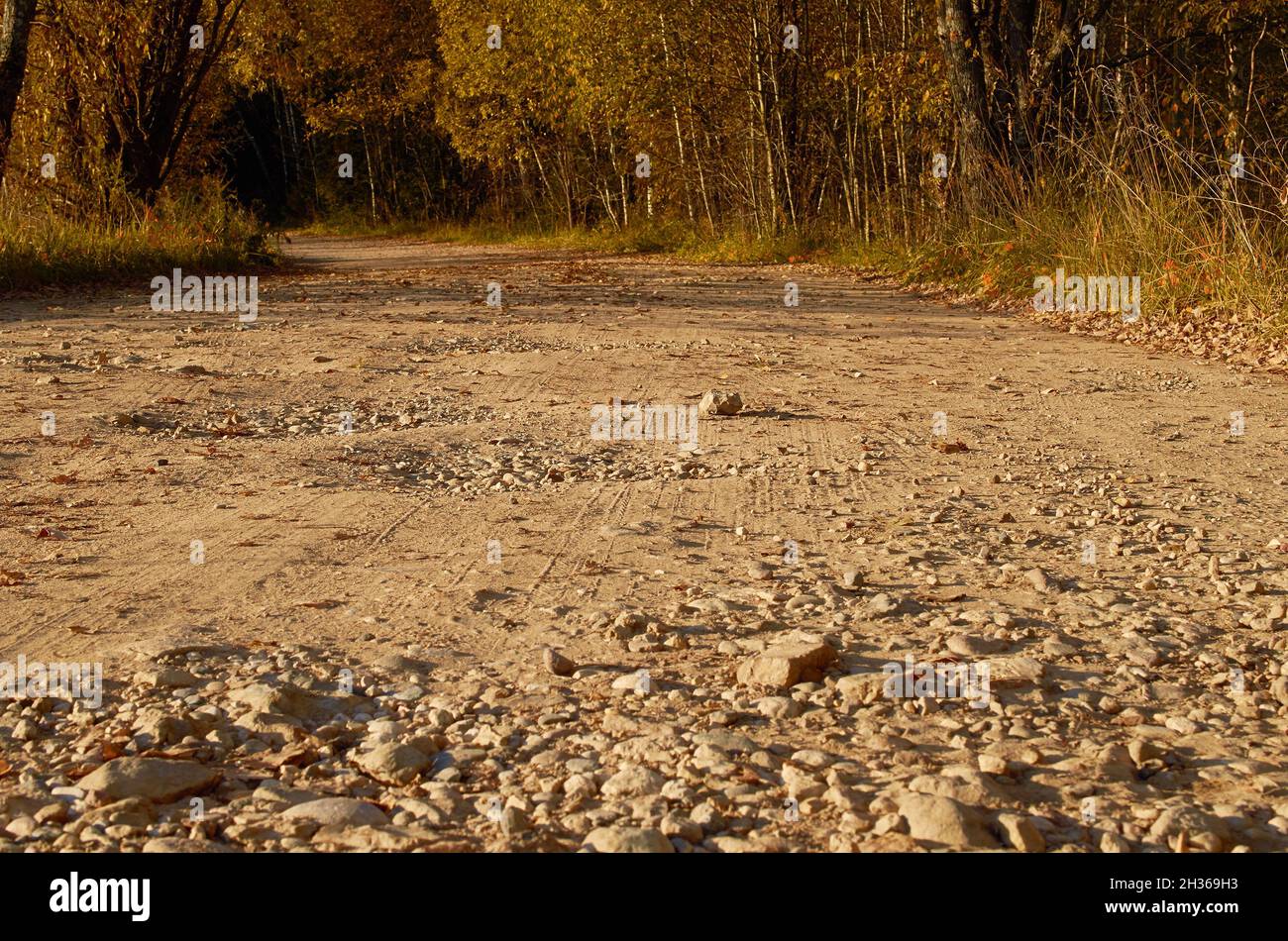 Autumn landscape. Dirt road with pits and stones Stock Photo - Alamy
