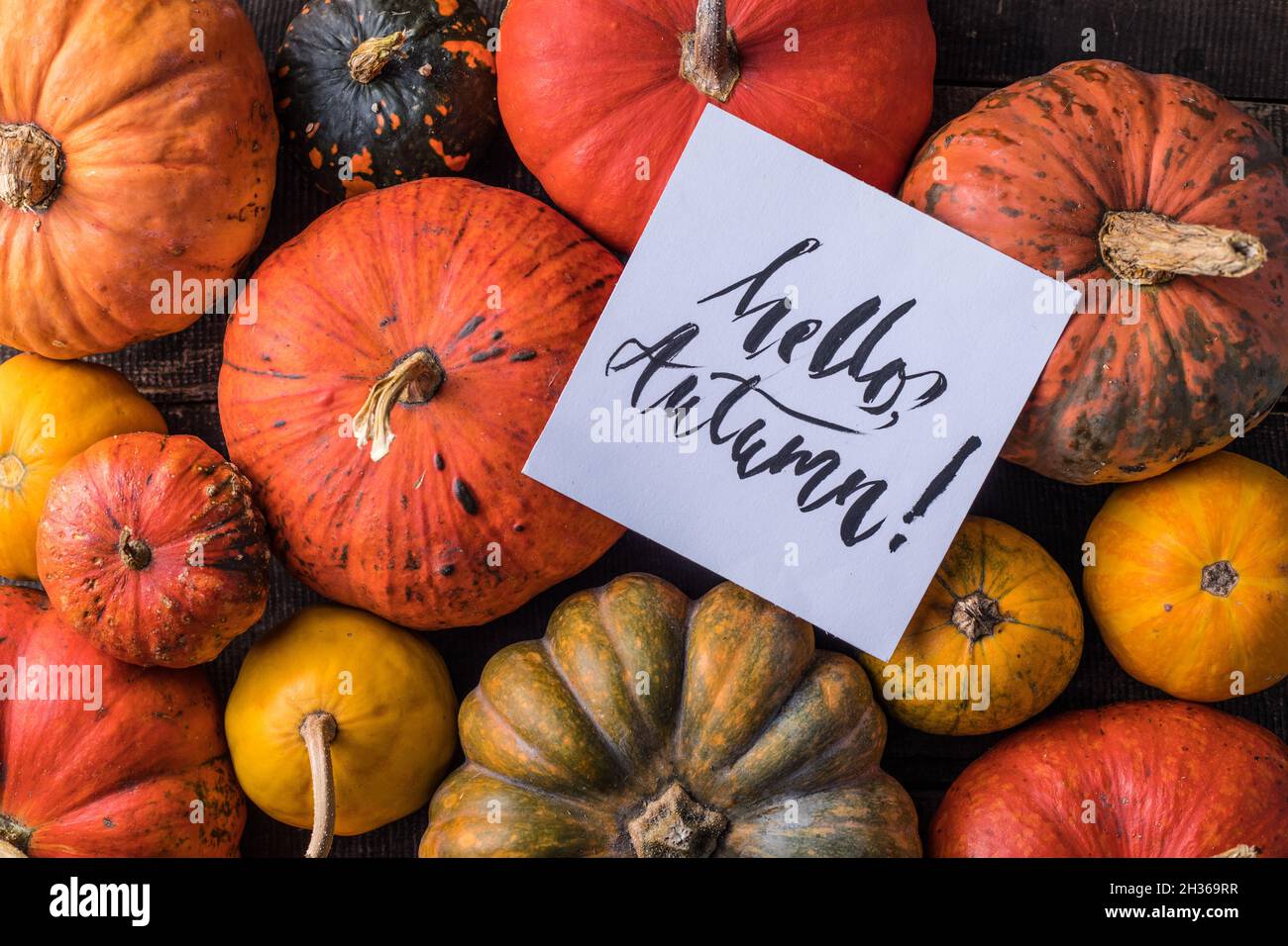 Pile of many multi colored pumpkins and gourds of different shapes and ...