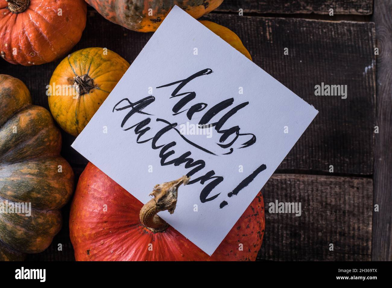 Pile of many multi colored pumpkins and gourds of different shapes and ...