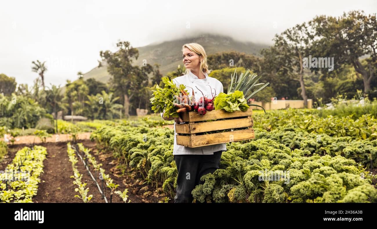 Happy young chef carrying a crate full of freshly picked vegetables on ...