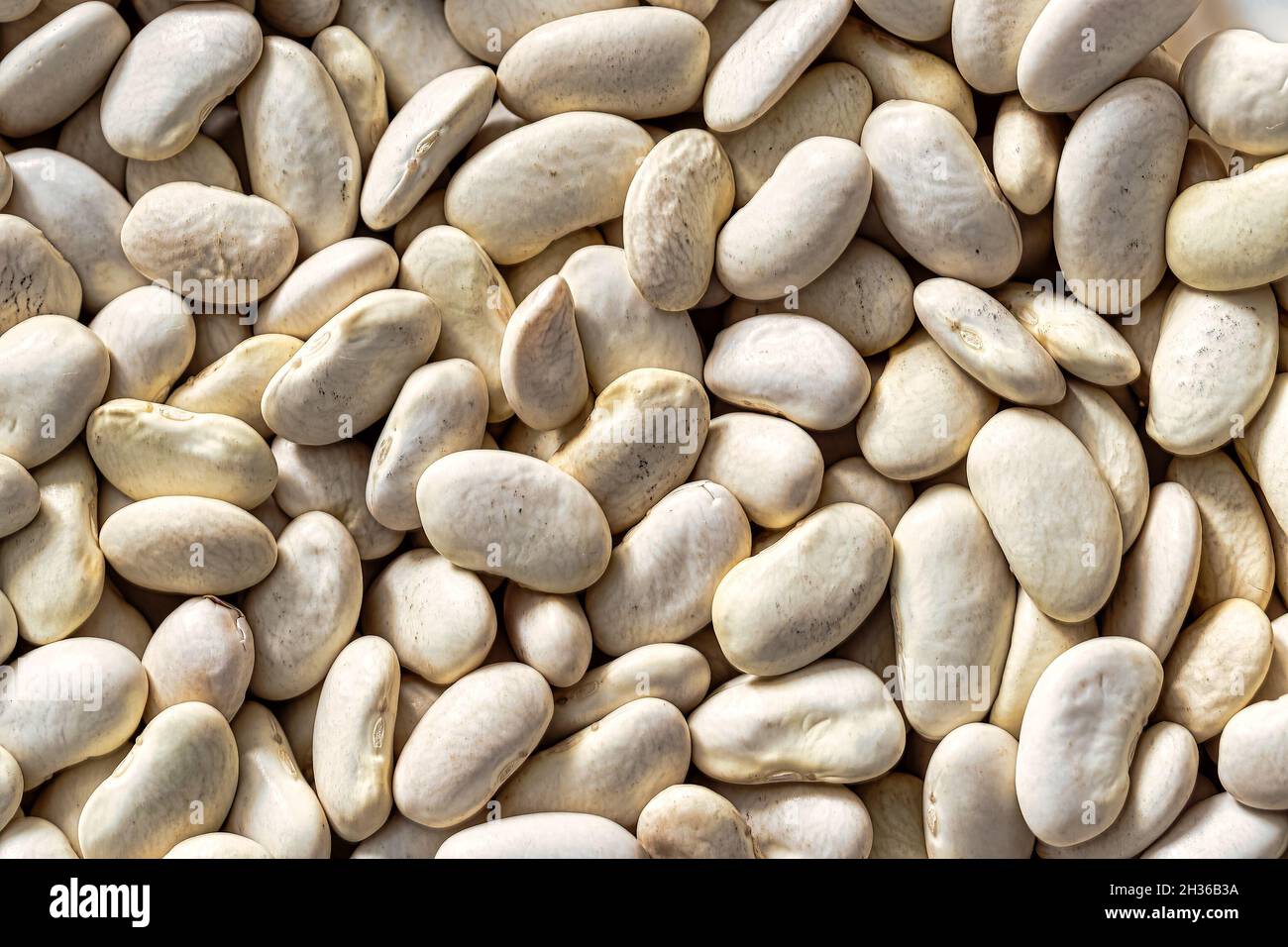 Close up white bean seeds background. Healthy vegan food. Texture Stock ...