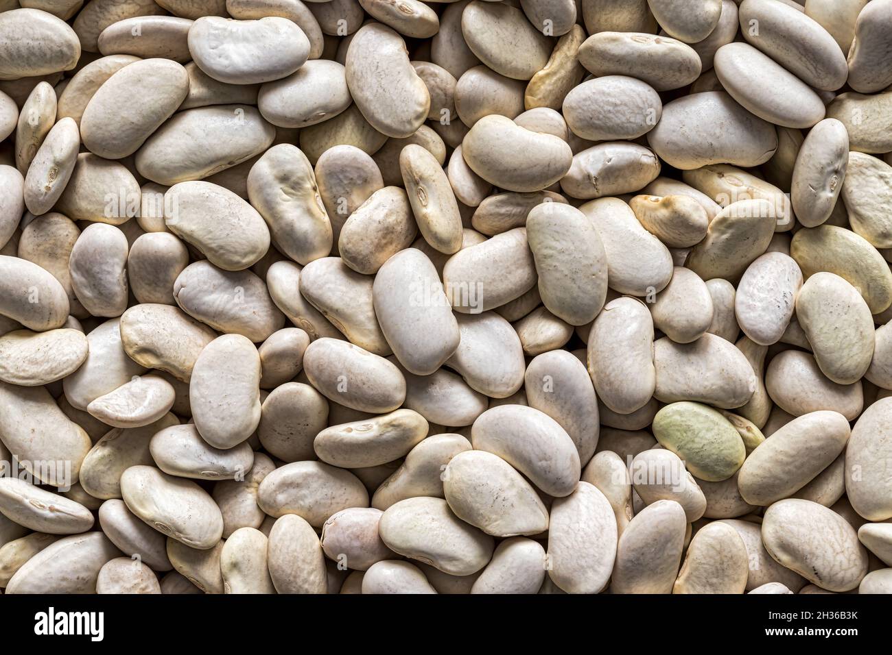 Close up white bean seeds background. Healthy vegan food. Texture Stock ...