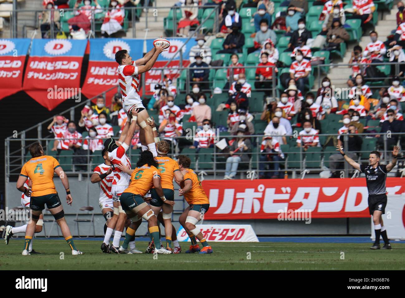 Oita, Japan. 23rd Oct, 2021. Jack Cornelsen (JPN) Rugby : Lipovitan D ...