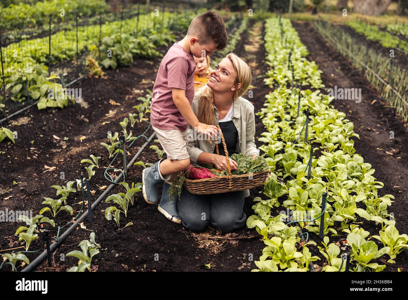 Mother smiling at her son while harvesting on an organic farm. Happy ...