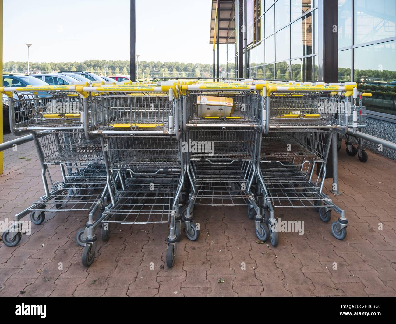 Rear view of Rows of multiple supermarket shopping carts in large ...