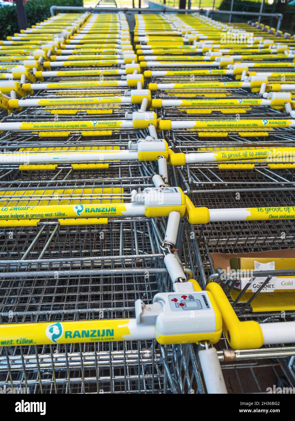 Multiple shopping carts hi-res stock photography and images - Alamy