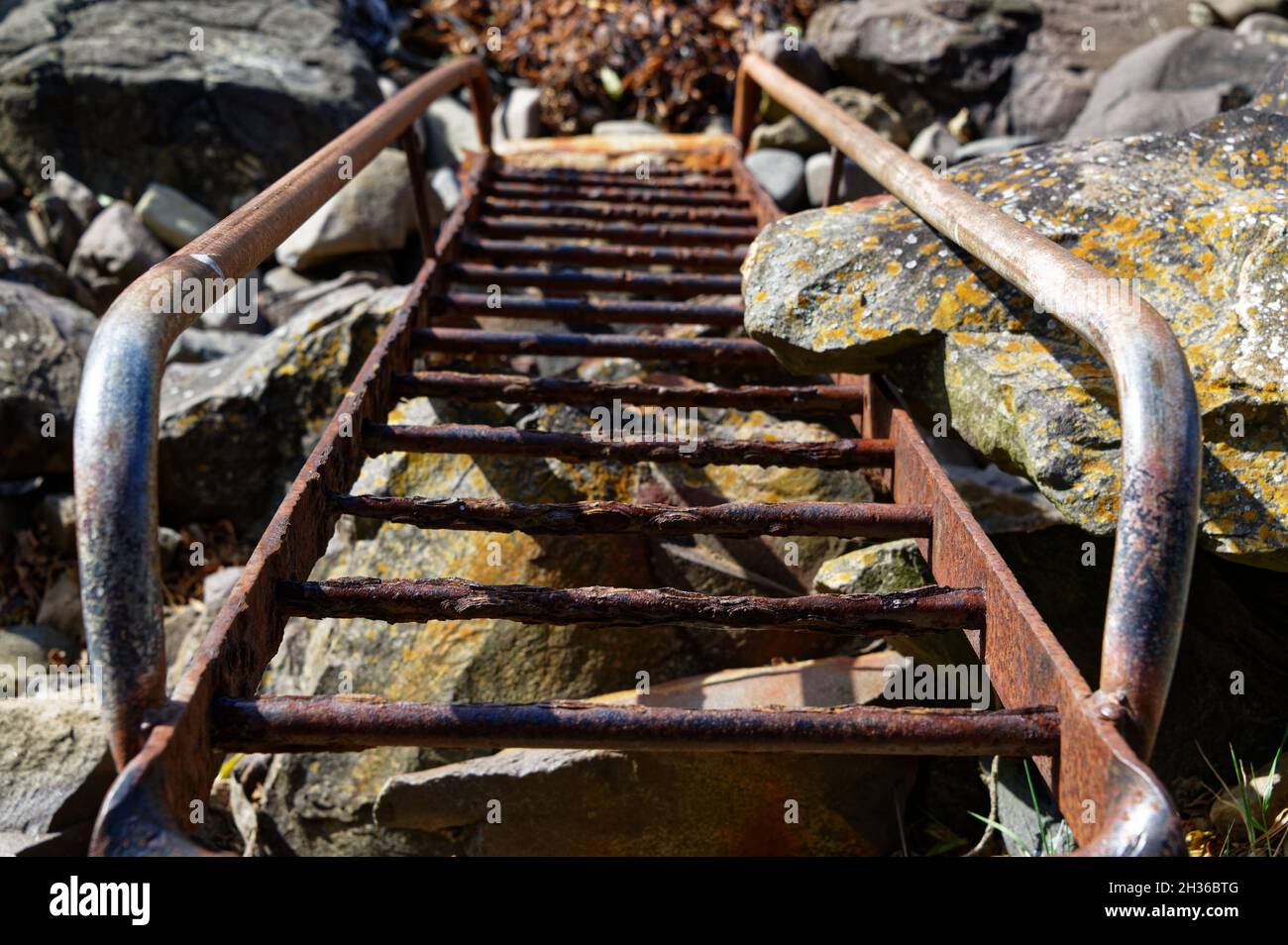 A ladder goes over rocks as it leads down a cliff to the beach below ...