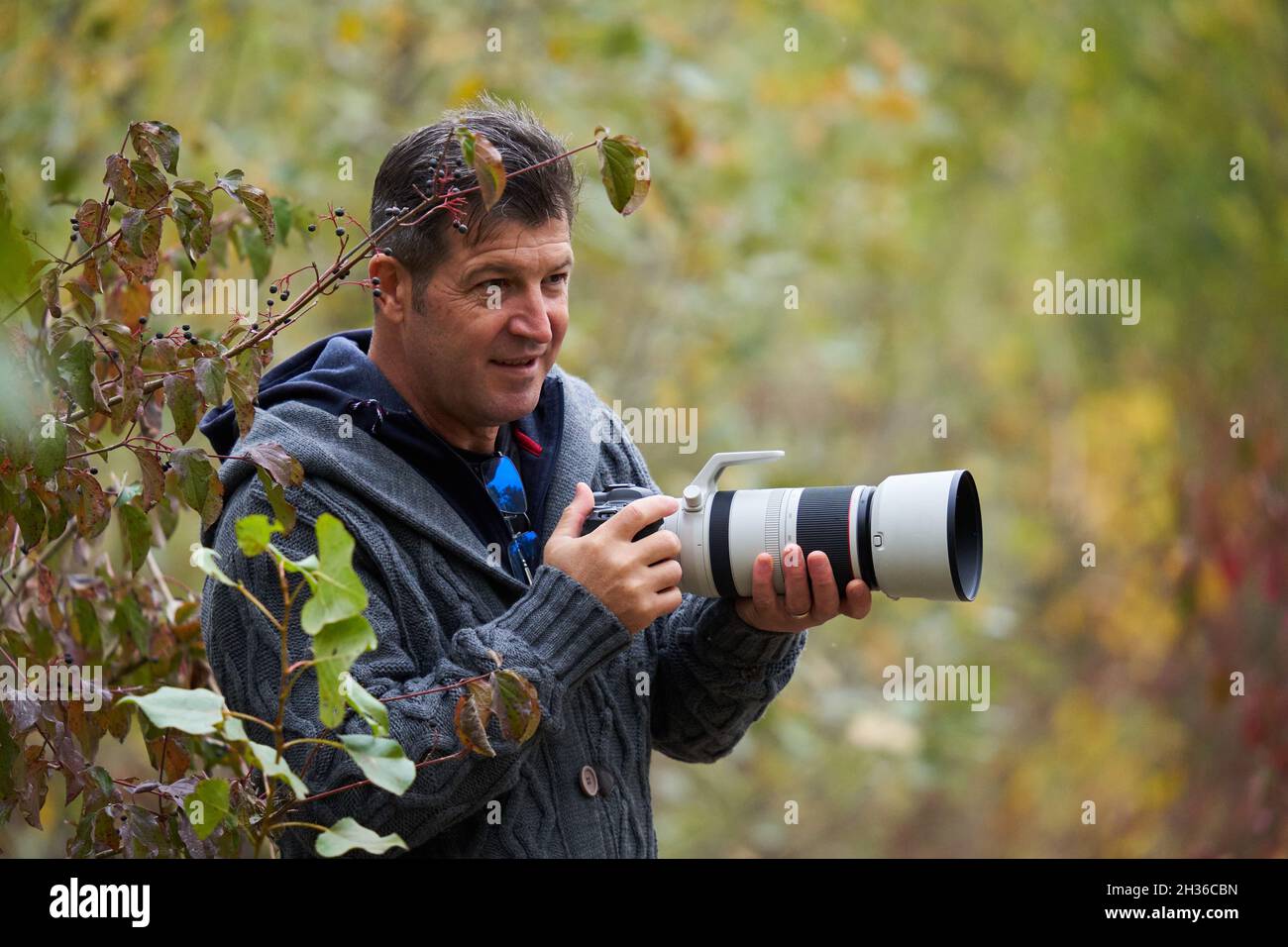 Professional wildlife photographer outdoor in the bush, shooting with a ...