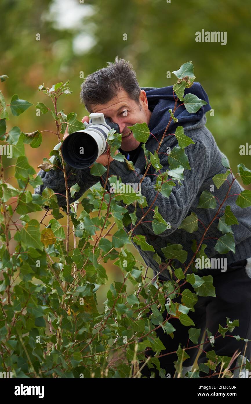 Professional wildlife photographer outdoor in the bush, shooting with a ...