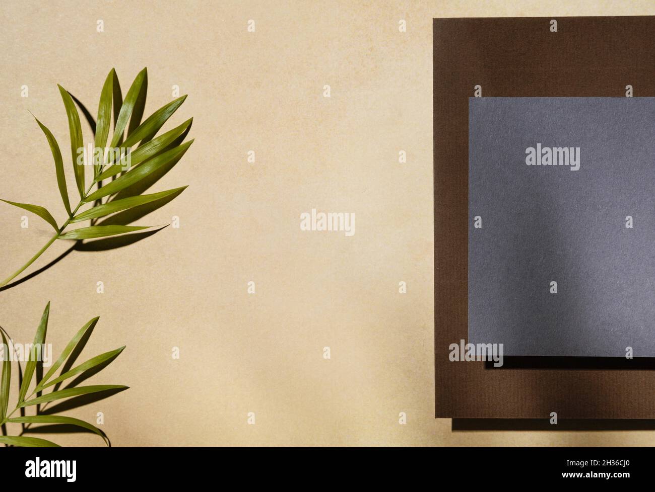 top view stationery paper with leaves. Resolution and high quality ...