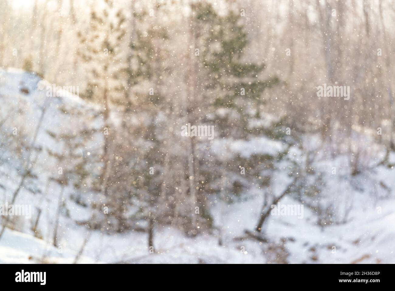 Snowflakes glow in sun hi-res stock photography and images - Alamy