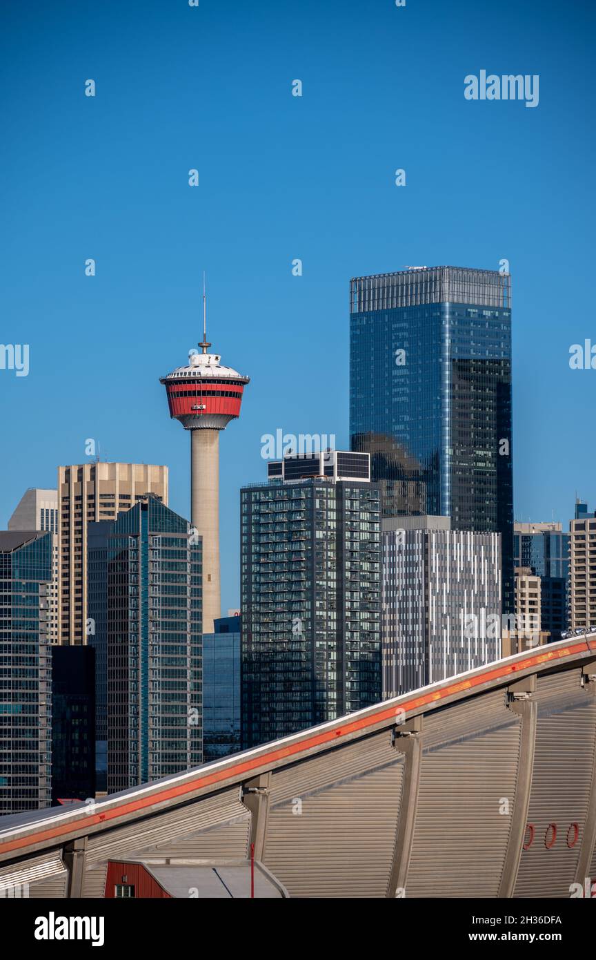 Vertical view of the Calgary Tower with modern skyscrapers under the ...