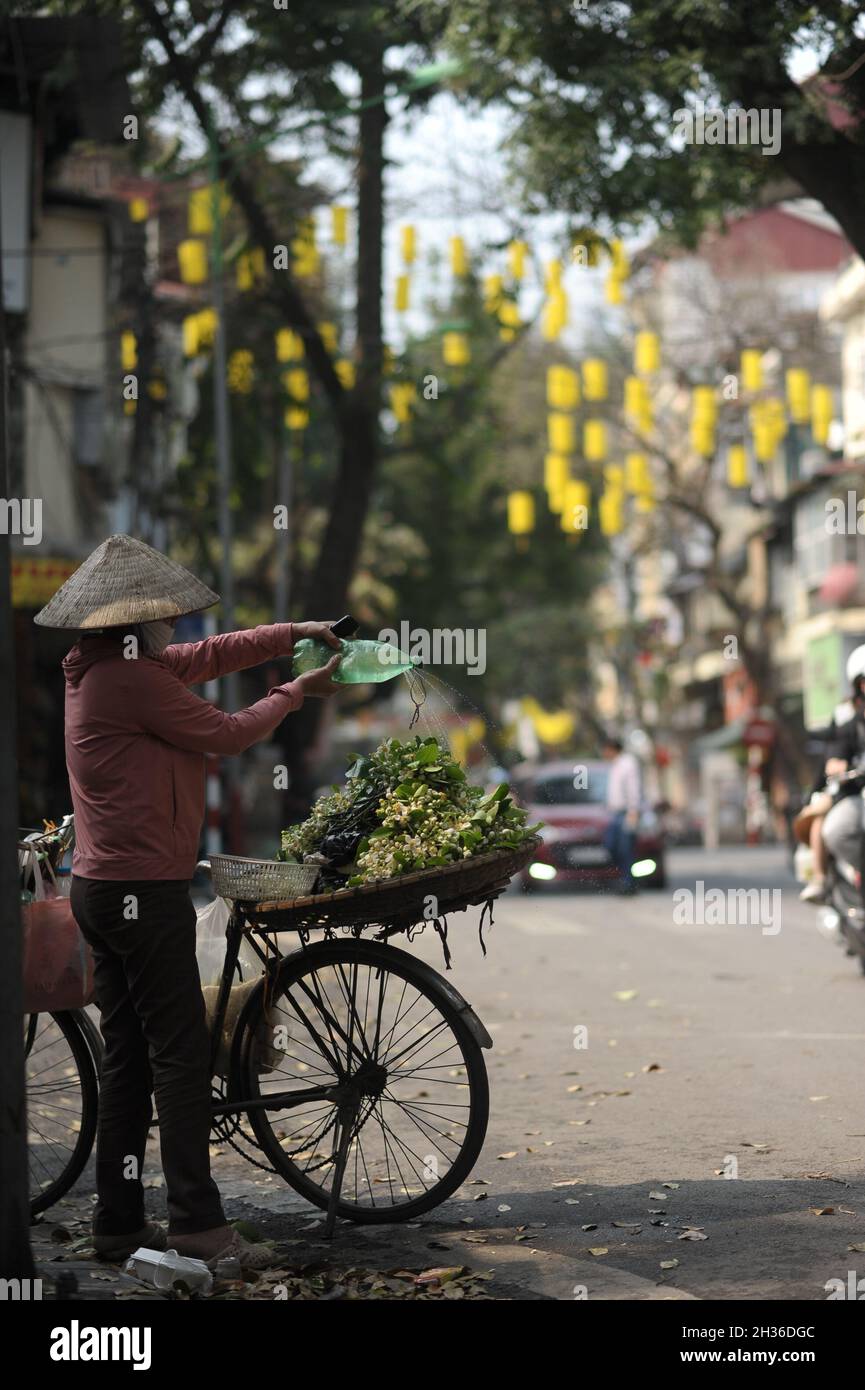 Beautiful flower street vendors photos hi-res stock photography and ...