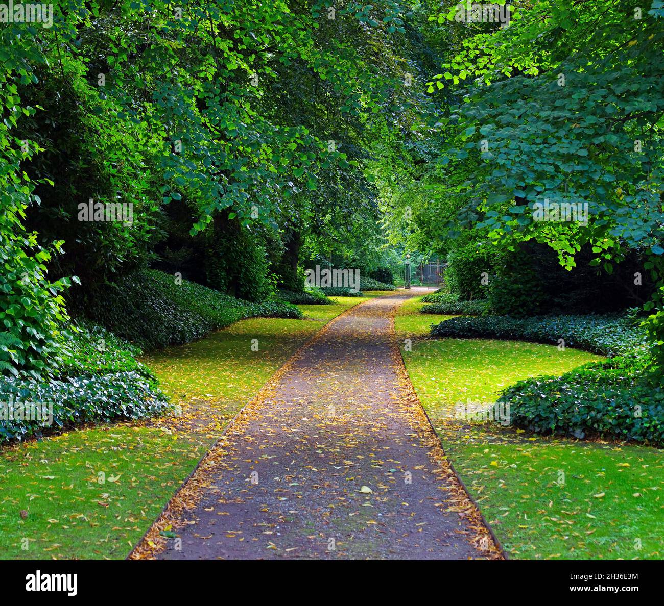 Tree-lined walkway at Biddulph grange in Staffordshire Stock Photo - Alamy