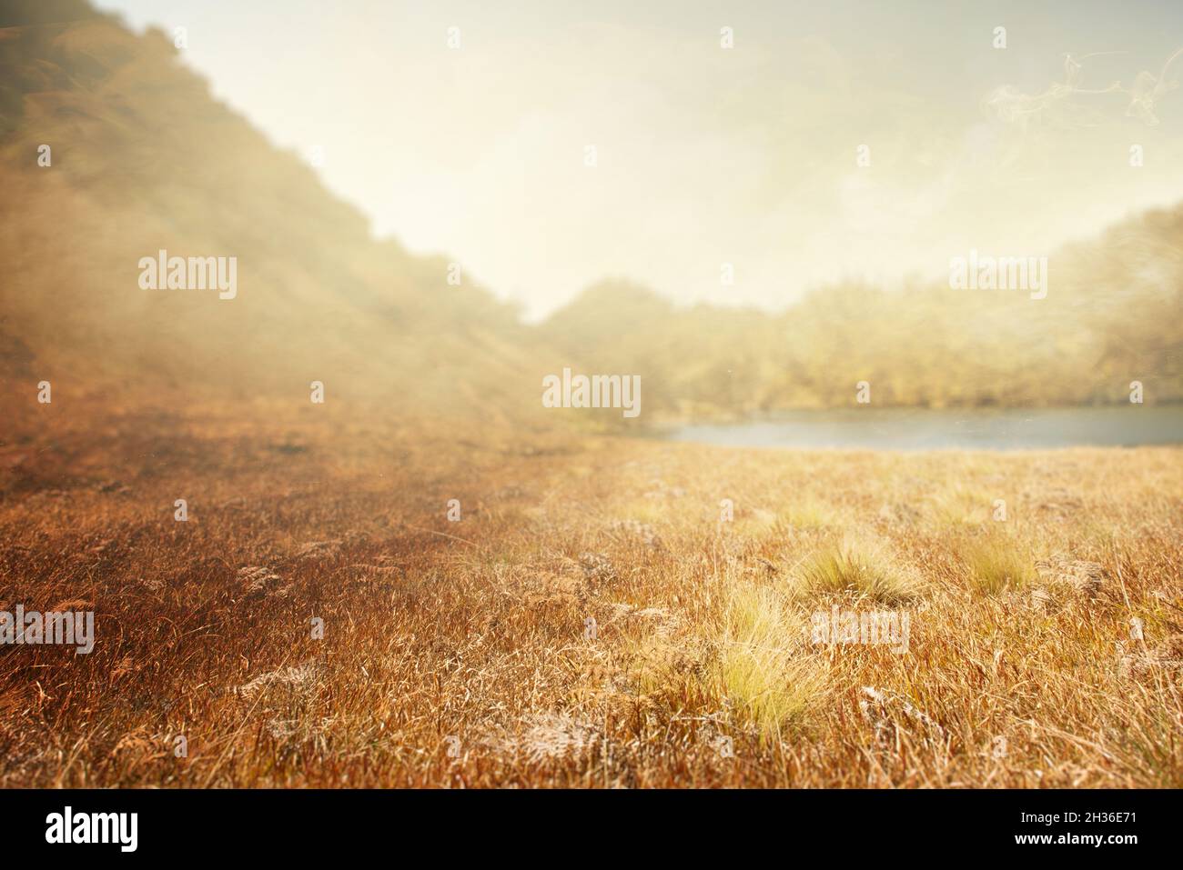 Field with the dramatic scene background Stock Photo - Alamy