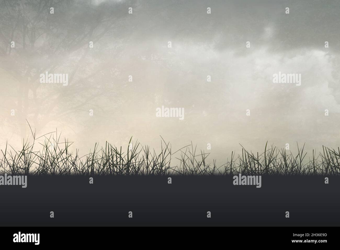 Field with the foggy background Stock Photo - Alamy