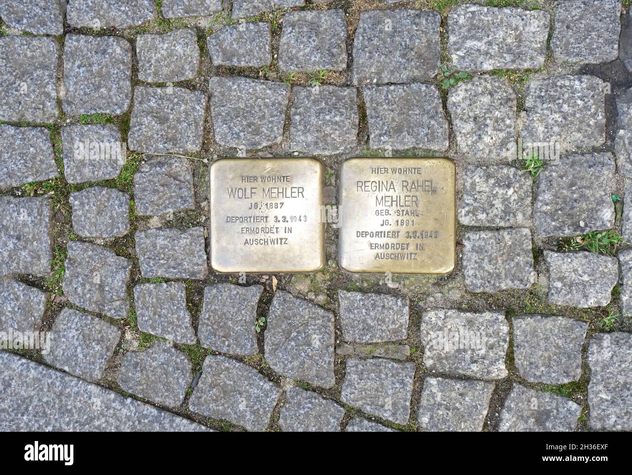 Regina rahel mehler hi-res stock photography and images - Alamy