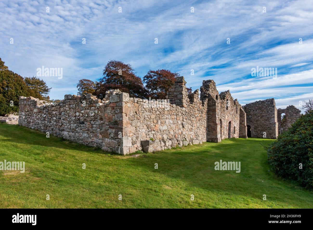 Deer abbey mintlaw hi-res stock photography and images - Alamy