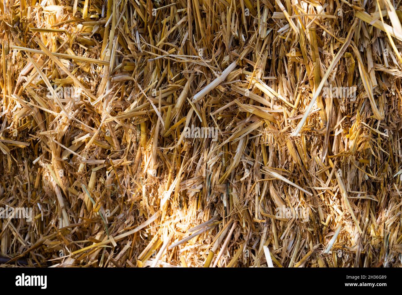 Straw, dry straw texture background, vintage style for design. Shadows ...
