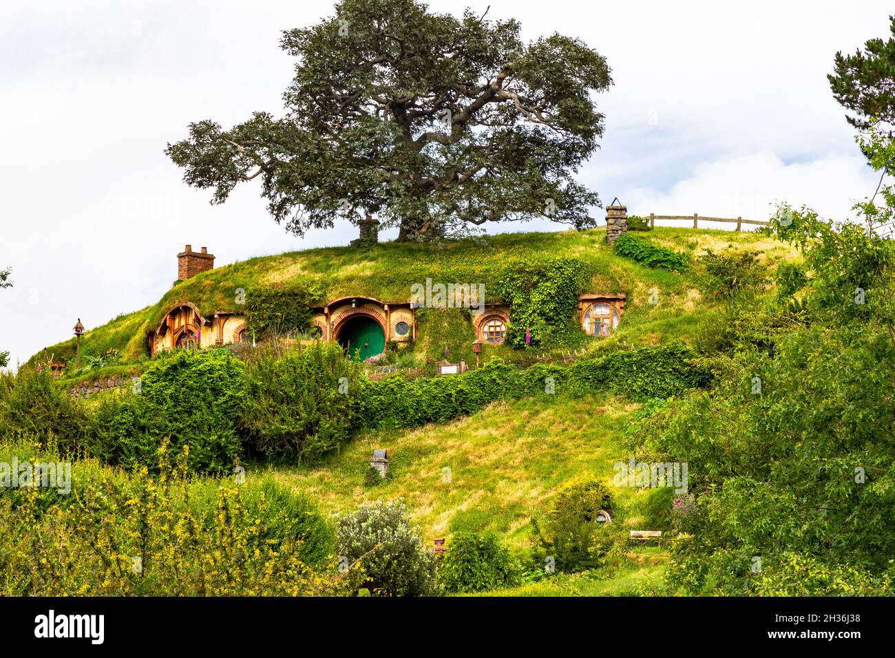 Matamata, North Island, New Zealand: House Bilbo. The famous oak tree ...