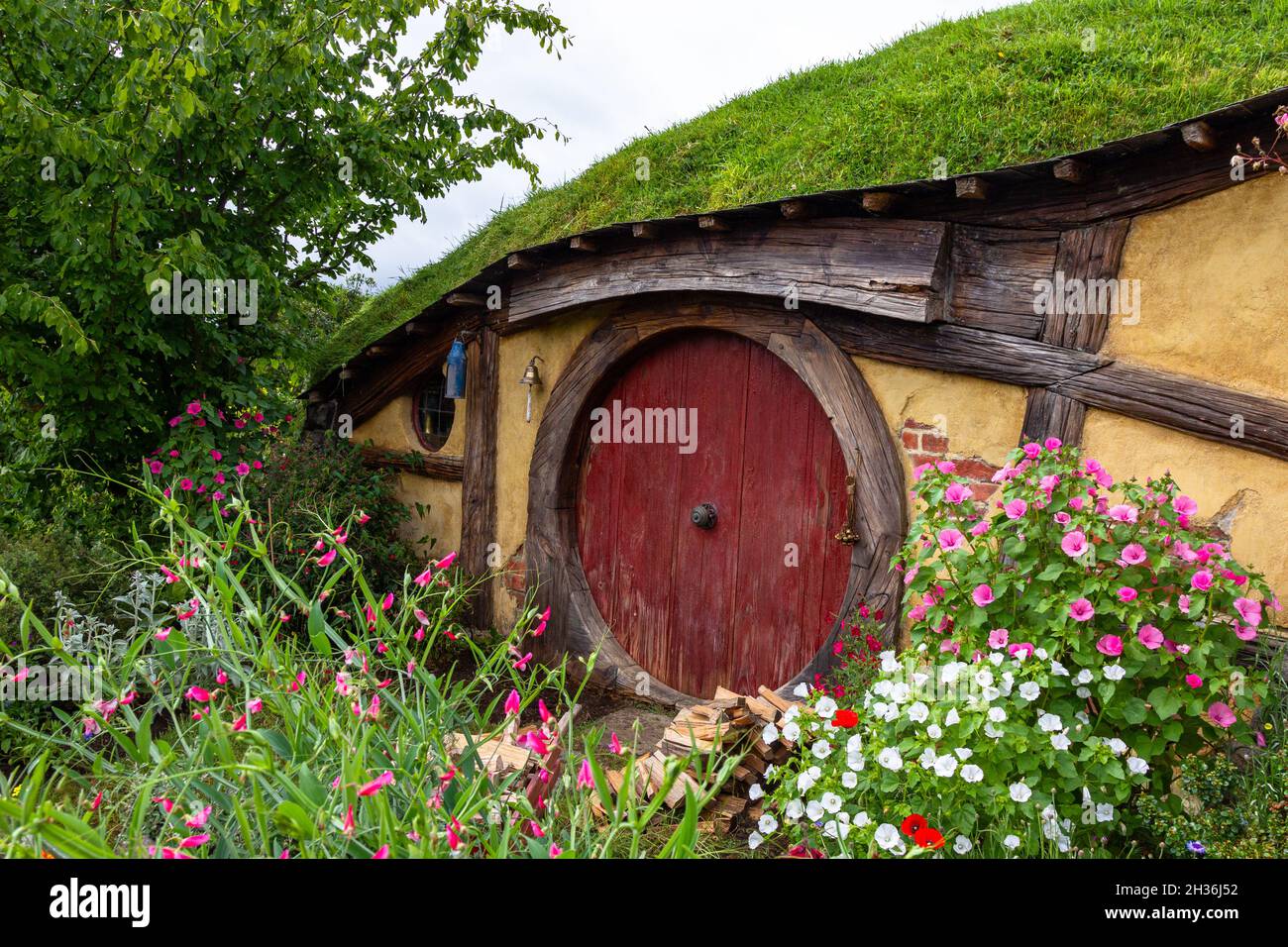 Matamata, North Island, New Zealand: Hobbit cabins in Hobbiton Stock ...