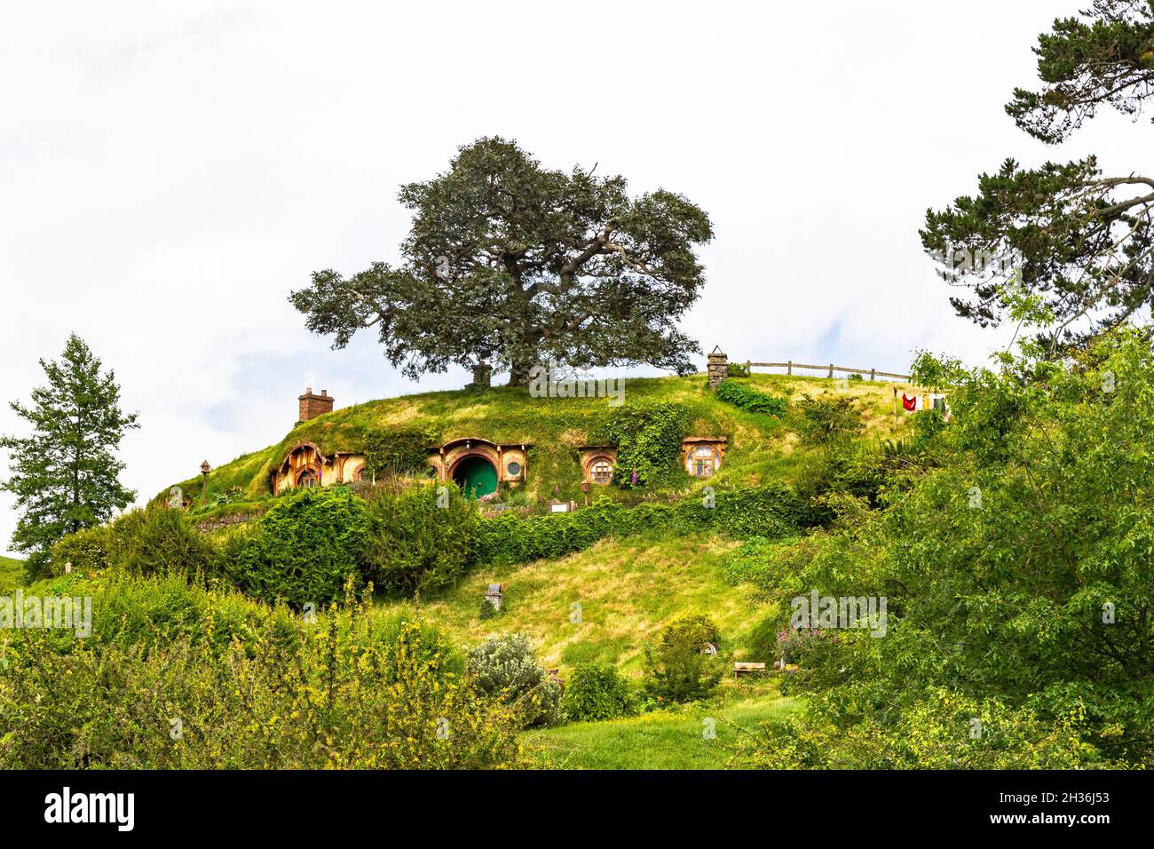 Matamata, North Island, New Zealand: House Bilbo. The famous oak tree ...