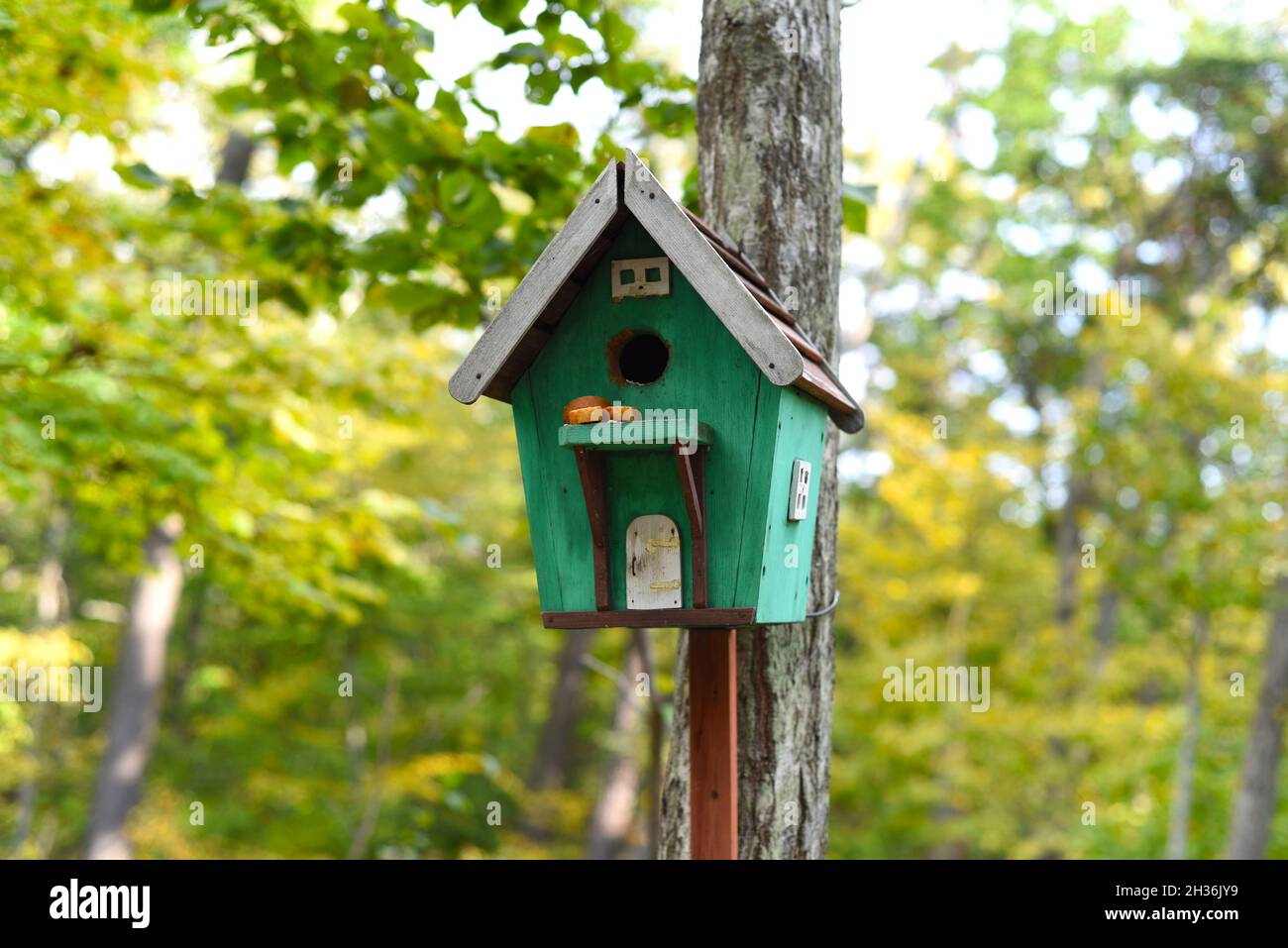 wooden birdhouse with food for birds Stock Photo - Alamy