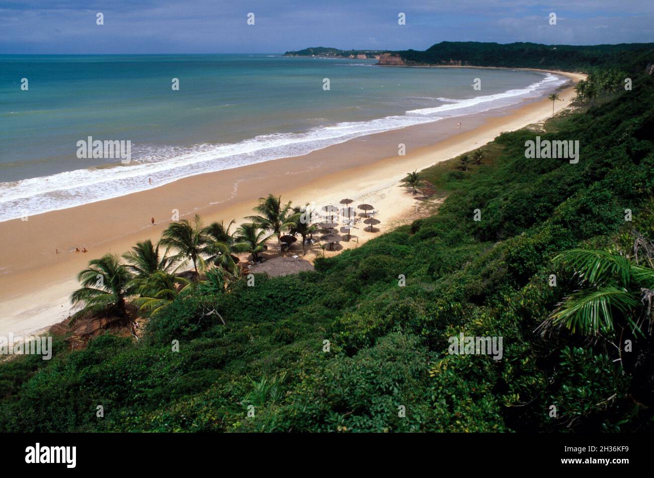 Pipa beach brasil hi-res stock photography and images - Alamy