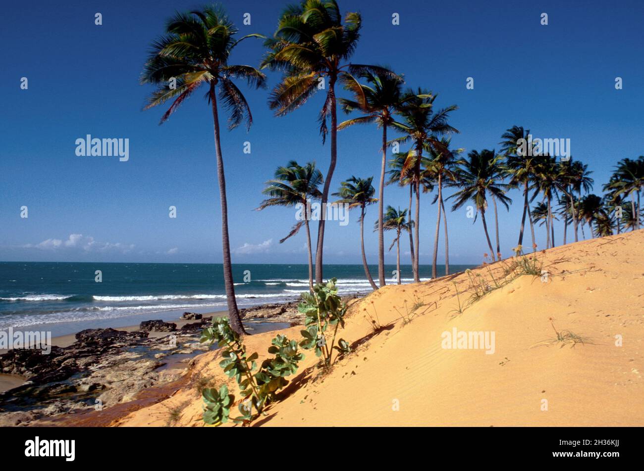 BRAZIL. REGION OF CEARA. LAGOINHA BEACH Stock Photo - Alamy
