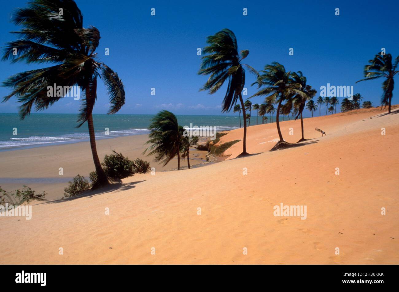 BRAZIL. REGION OF CEARA. LAGOINHA BEACH Stock Photo - Alamy