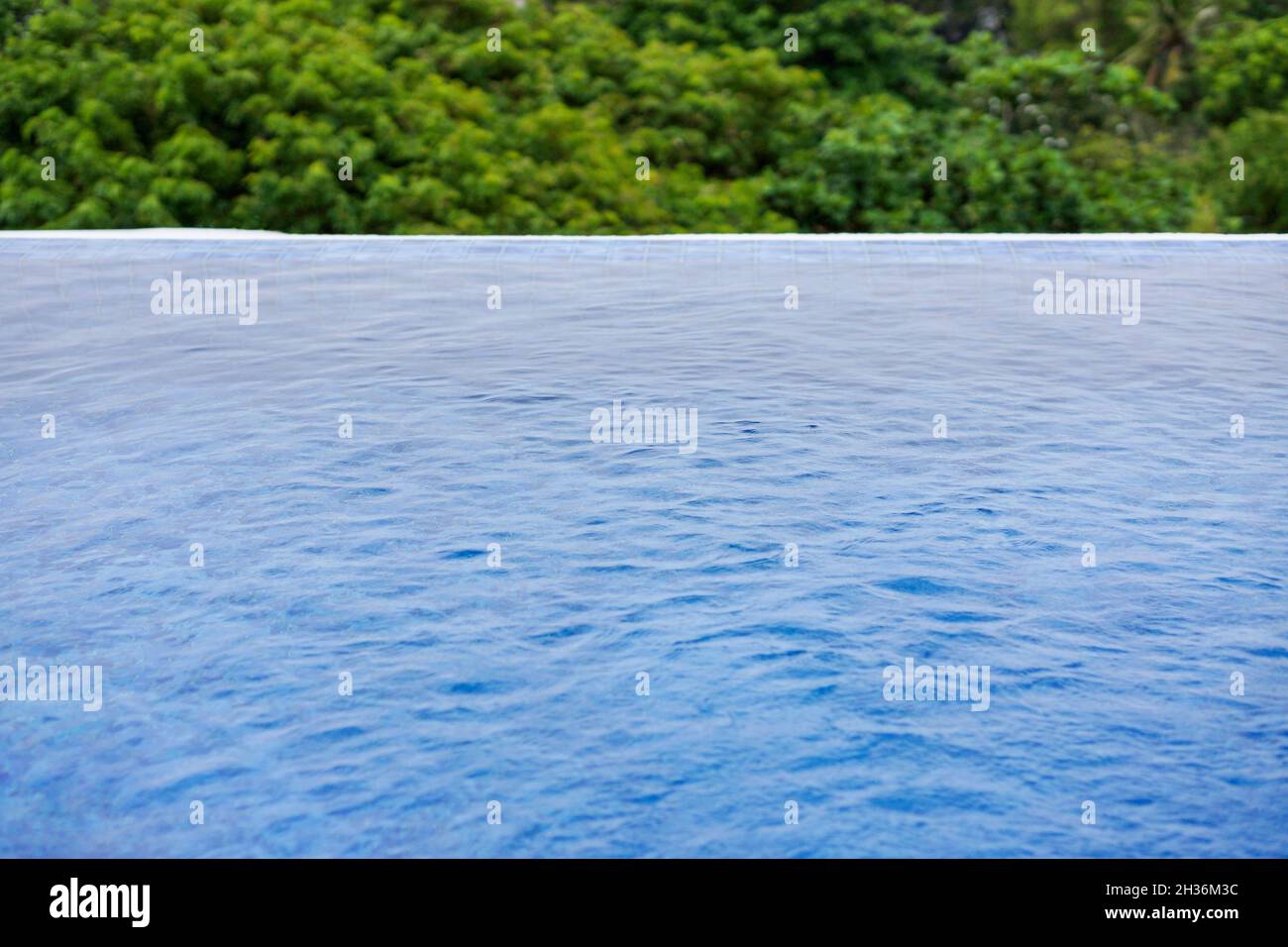 Infinity pool in forest hi-res stock photography and images - Alamy