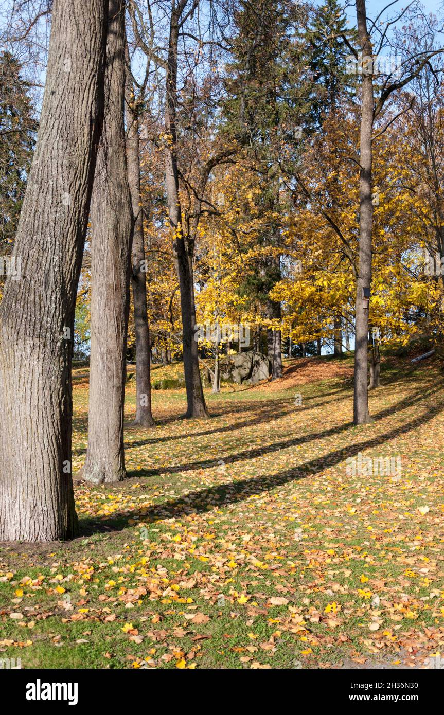 Tampere finland 2021 hi-res stock photography and images - Alamy
