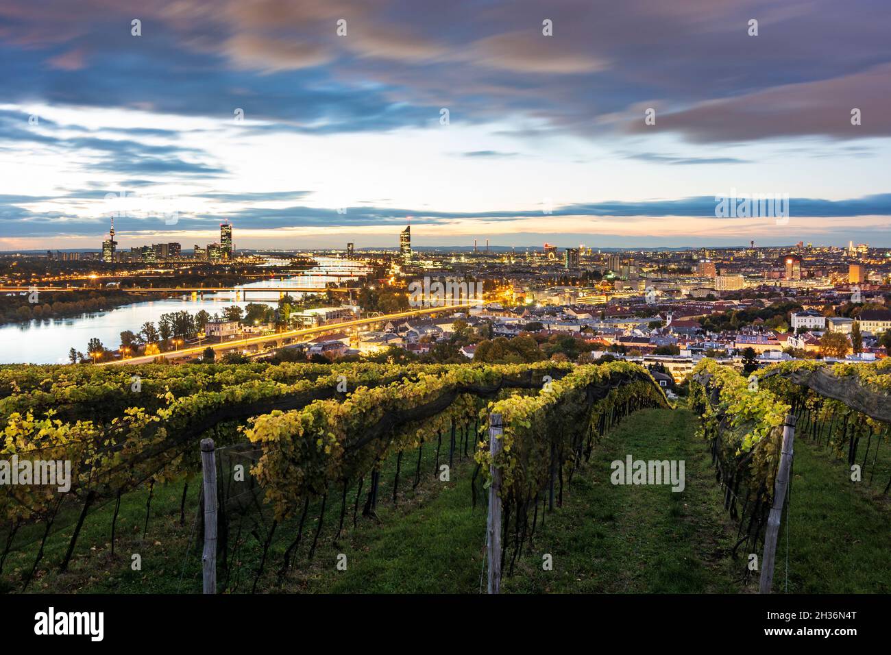 Wien, Vienna: sunrise in Vienna, river Donau (Danube), vineyard ...