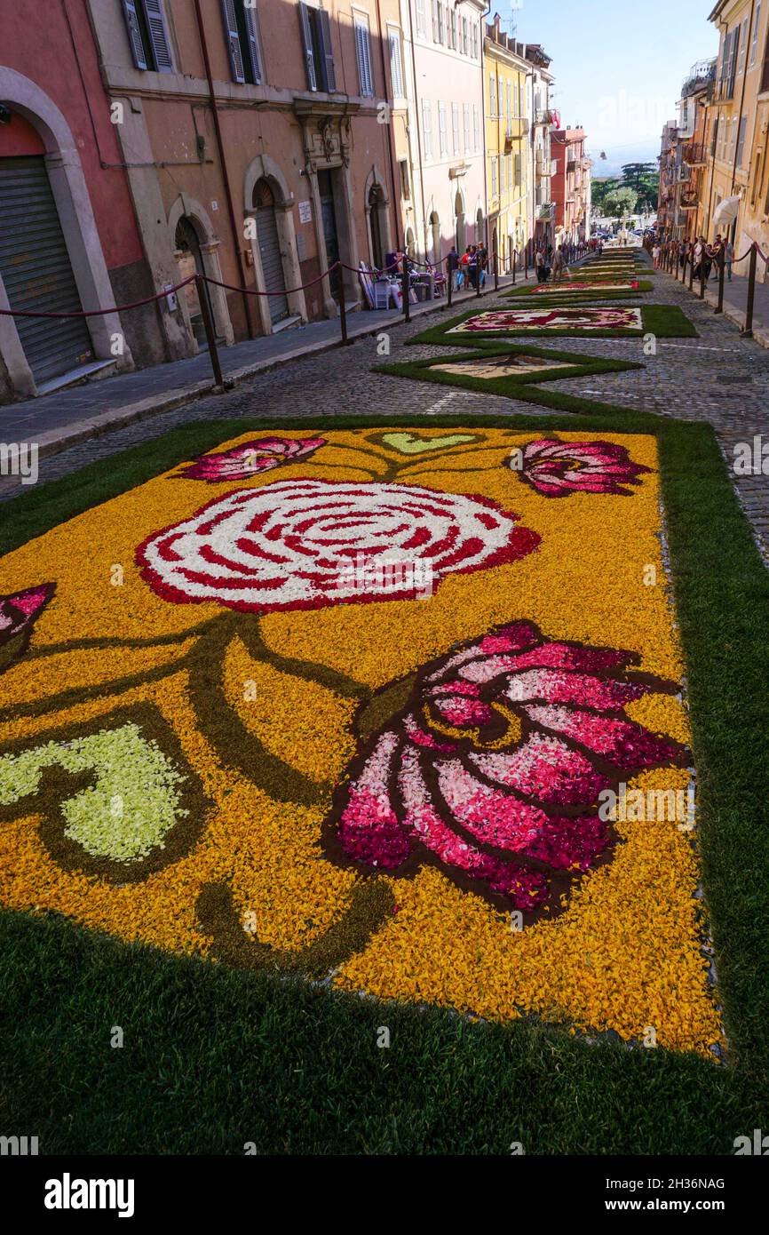 Genzano flower hi-res stock photography and images - Alamy
