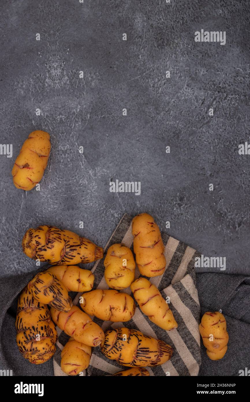 Oca, tuber used in Peruvian cuisine Stock Photo - Alamy