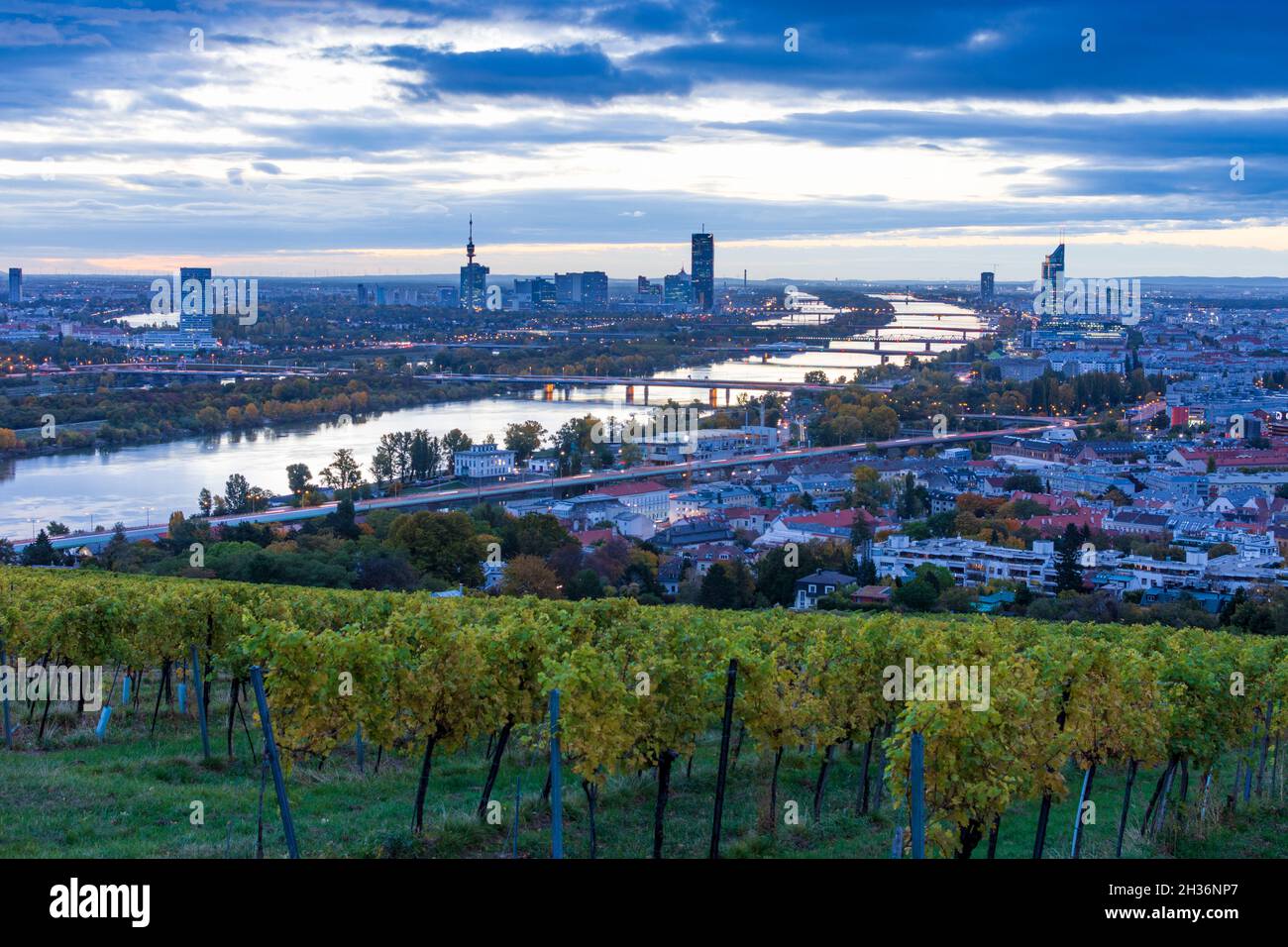 Wien, Vienna: sunrise in Vienna, river Donau (Danube), vineyard ...