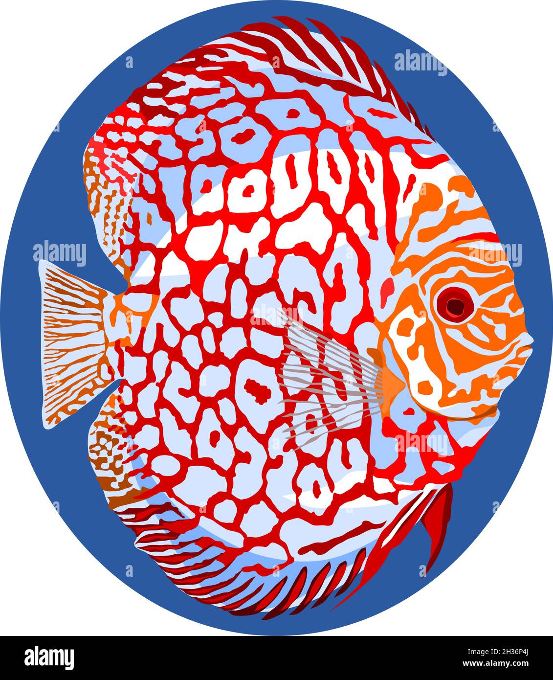 Freshwater discus aquarium Stock Vector Images - Alamy