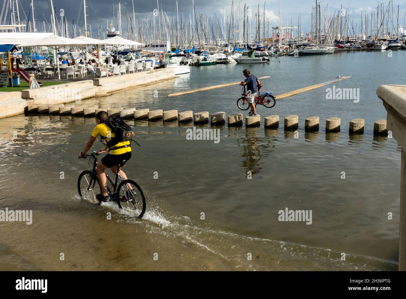 Biker in Palma de Mallorca Harbor cycle path through water Spain Stock ...