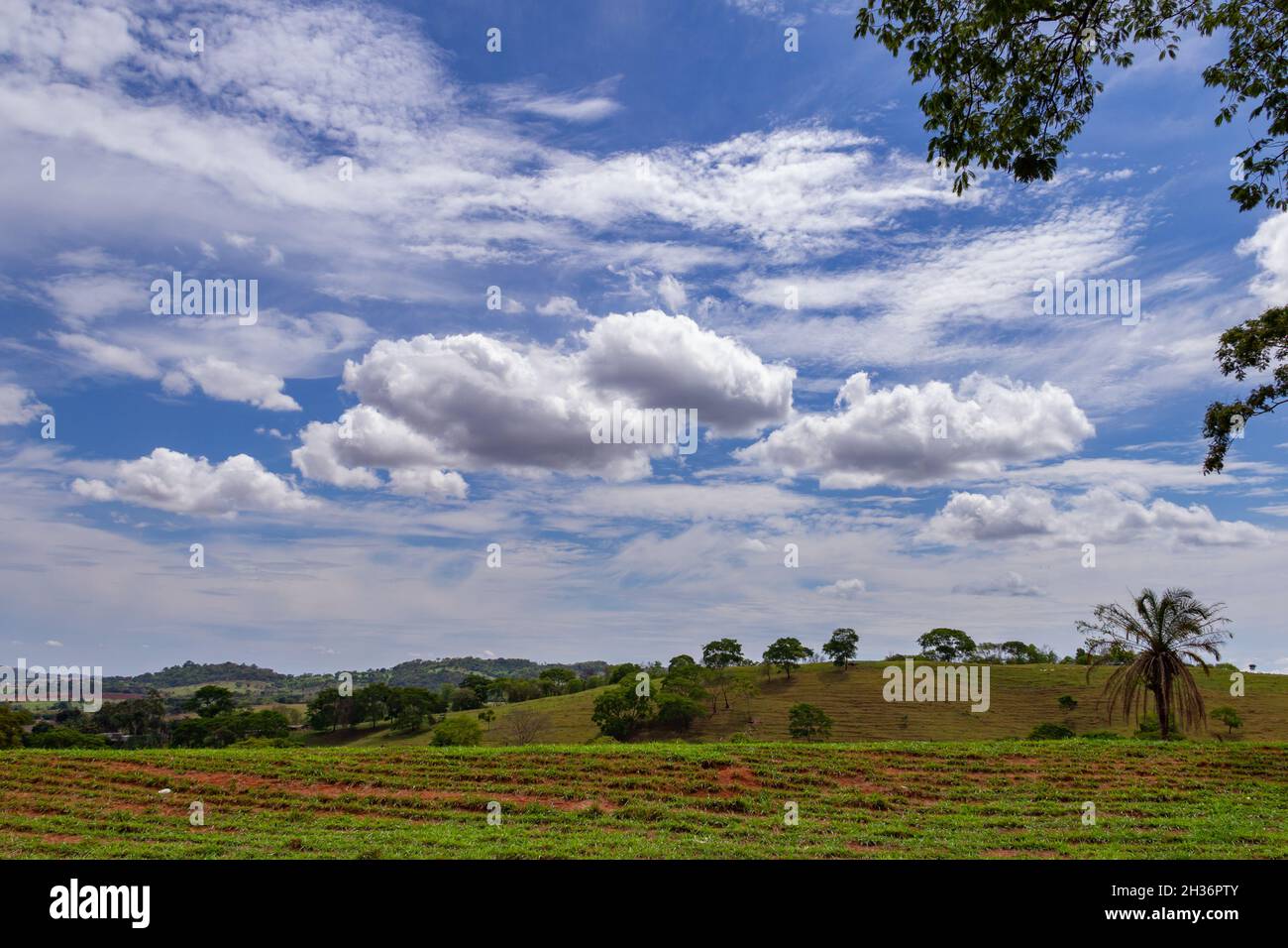 A landscape of the GO-070 Highway on a cloudy morning in the state of ...